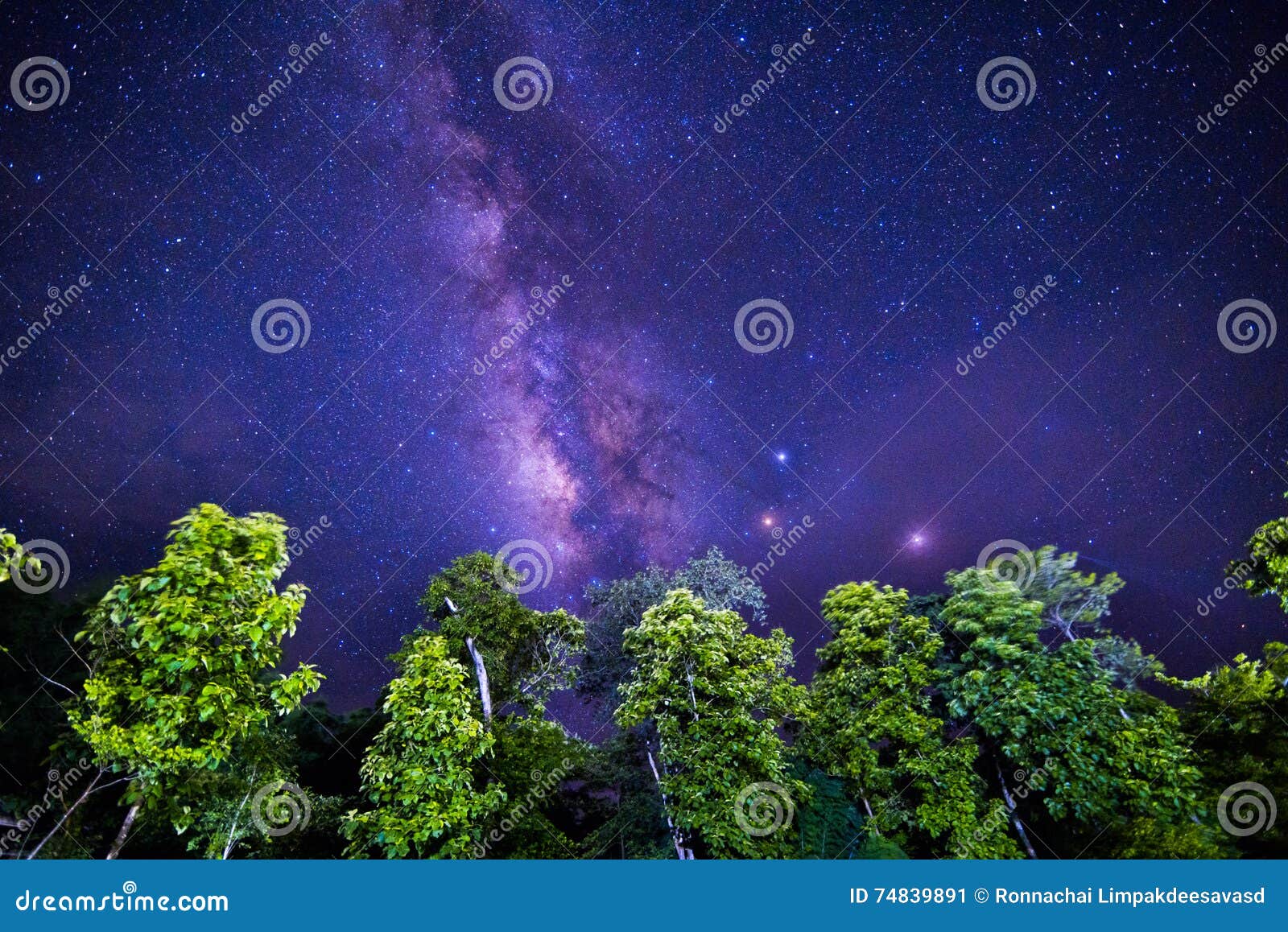 Milky way and trees stock image. Image of milkyway, trees - 74839891