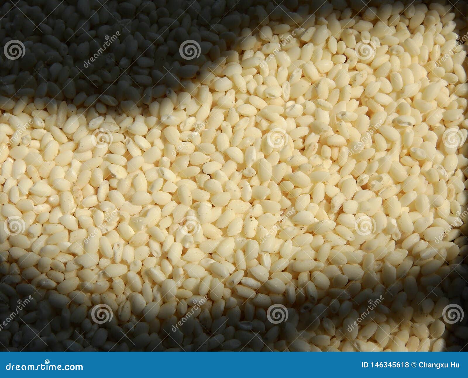 Light and rice stock photo. Image of detail, flowers - 146345618
