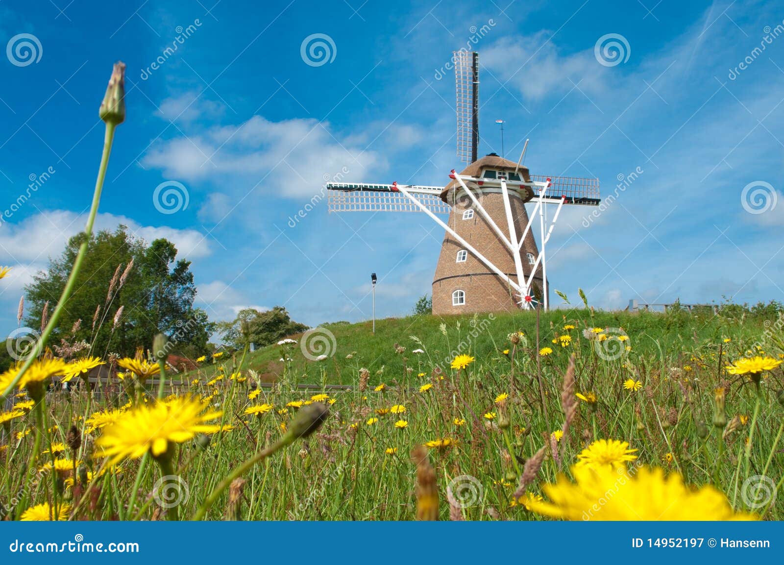 Mill stock image. Image of scenery, architecture, holland - 14952197