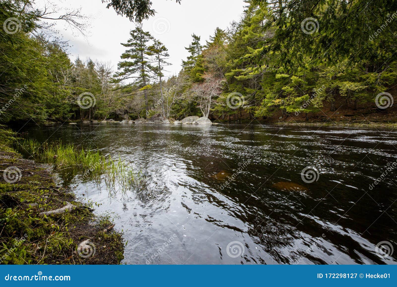 Mill Falls and River in Nova Scotia Canada Stock Image - Image of wild ...