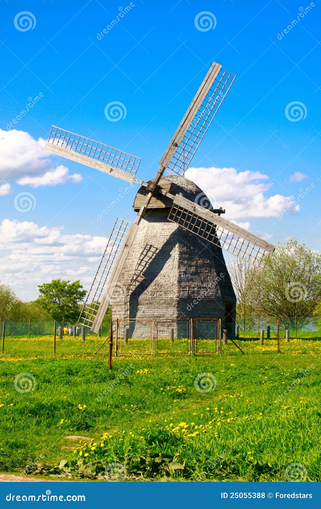 A mill in the field stock photo. Image of grass, flower - 25055388