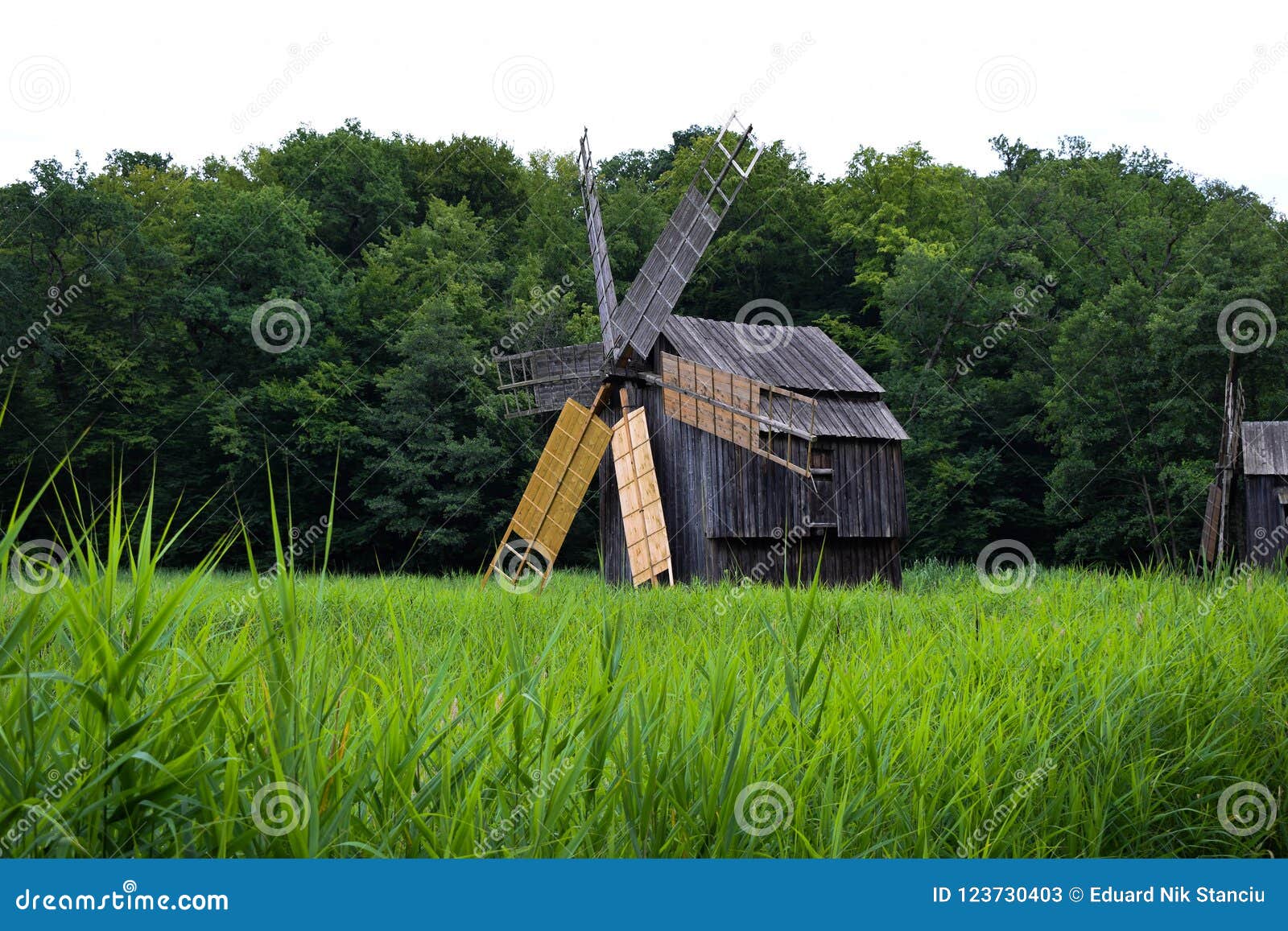 Mill stock image. Image of traditional, bake, bush, grain - 123730403