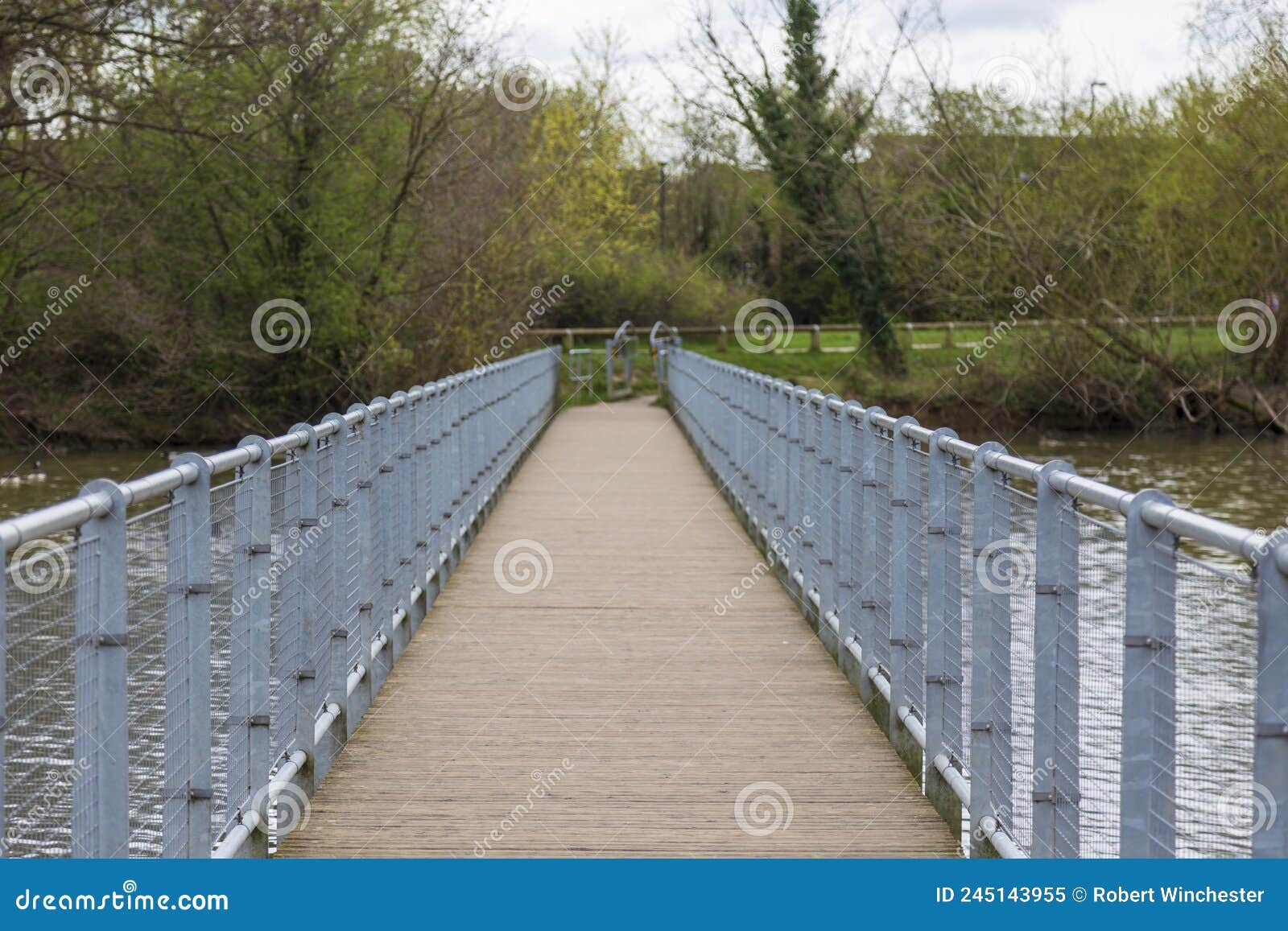 Mill Pond on an Early Spring Day Stock Image - Image of tree, mill ...