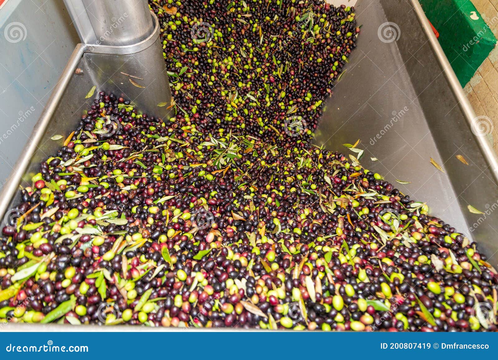 Mill for Processing Olives into Extra Virgin Olive Oil Stock Image ...