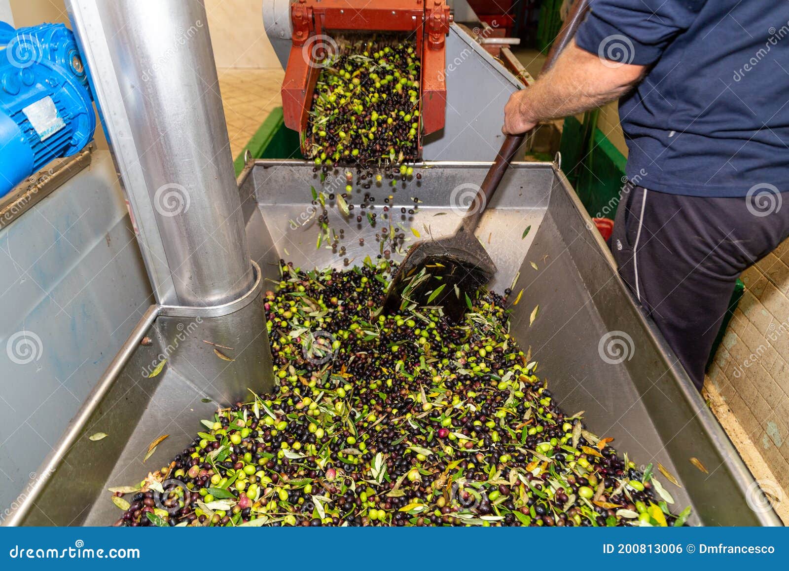 Mill for Processing Olives into Extra Virgin Olive Oil Stock Photo ...