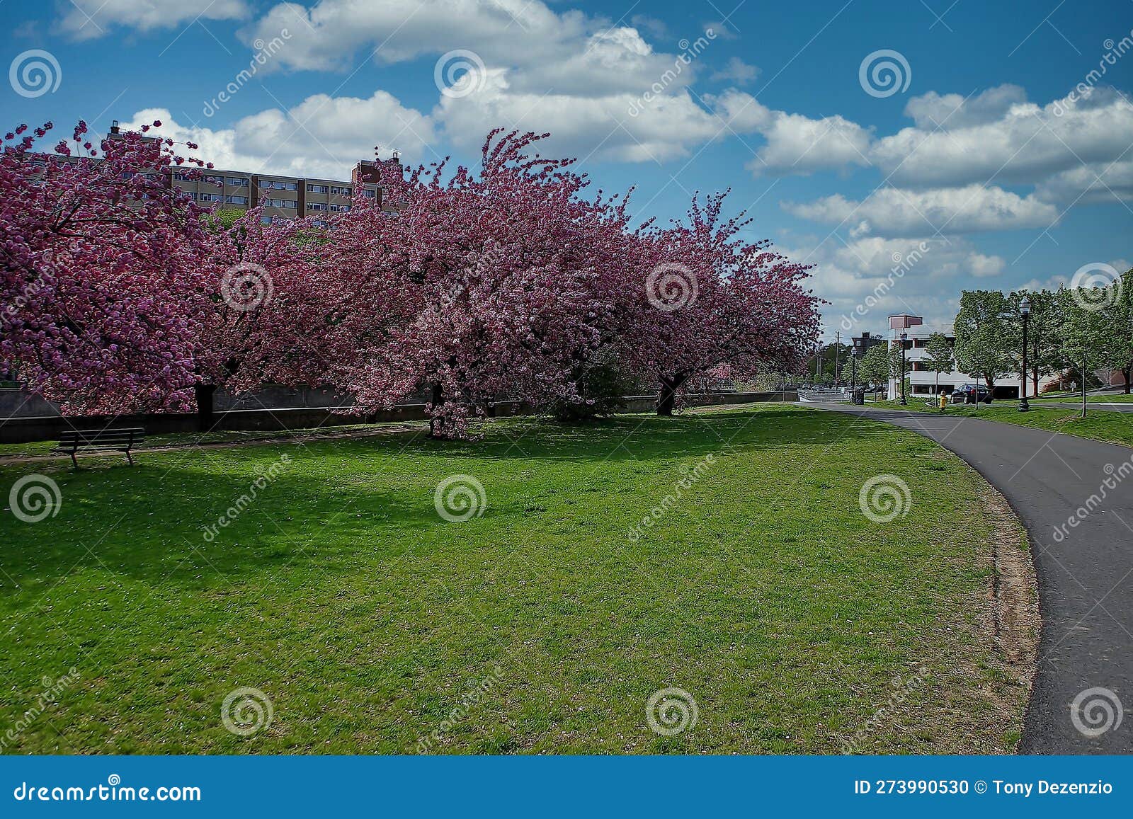 Mill River Park Nature Setting Stock Photo - Image of daytime, interior ...