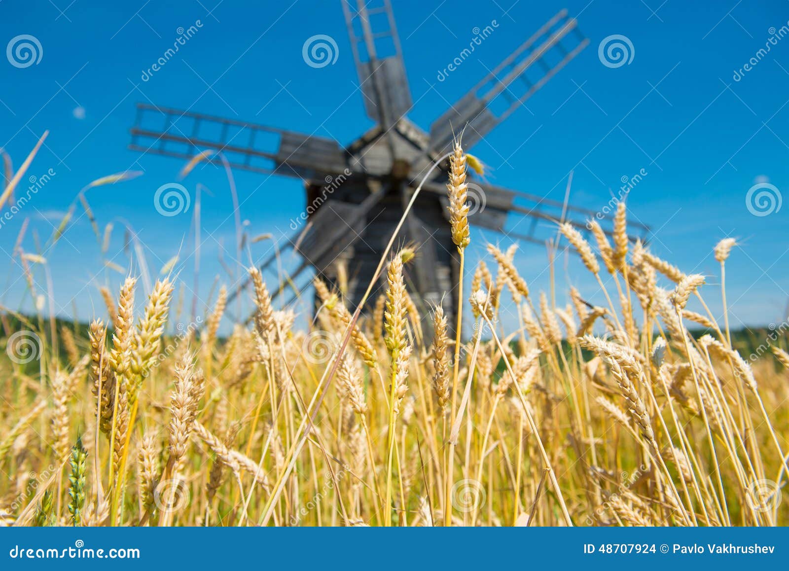 Mill on the wheat field stock photo. Image of crop, landmark - 48707924