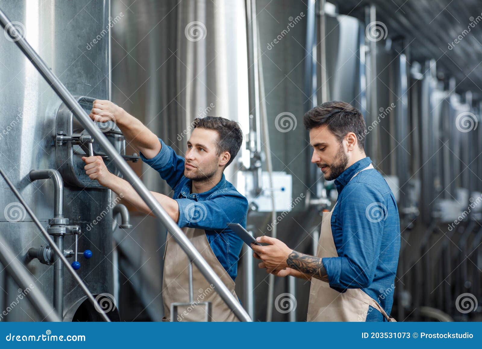 Millennial Guy Worker in Apron Turns a Valve on Big Boiler for Lager ...