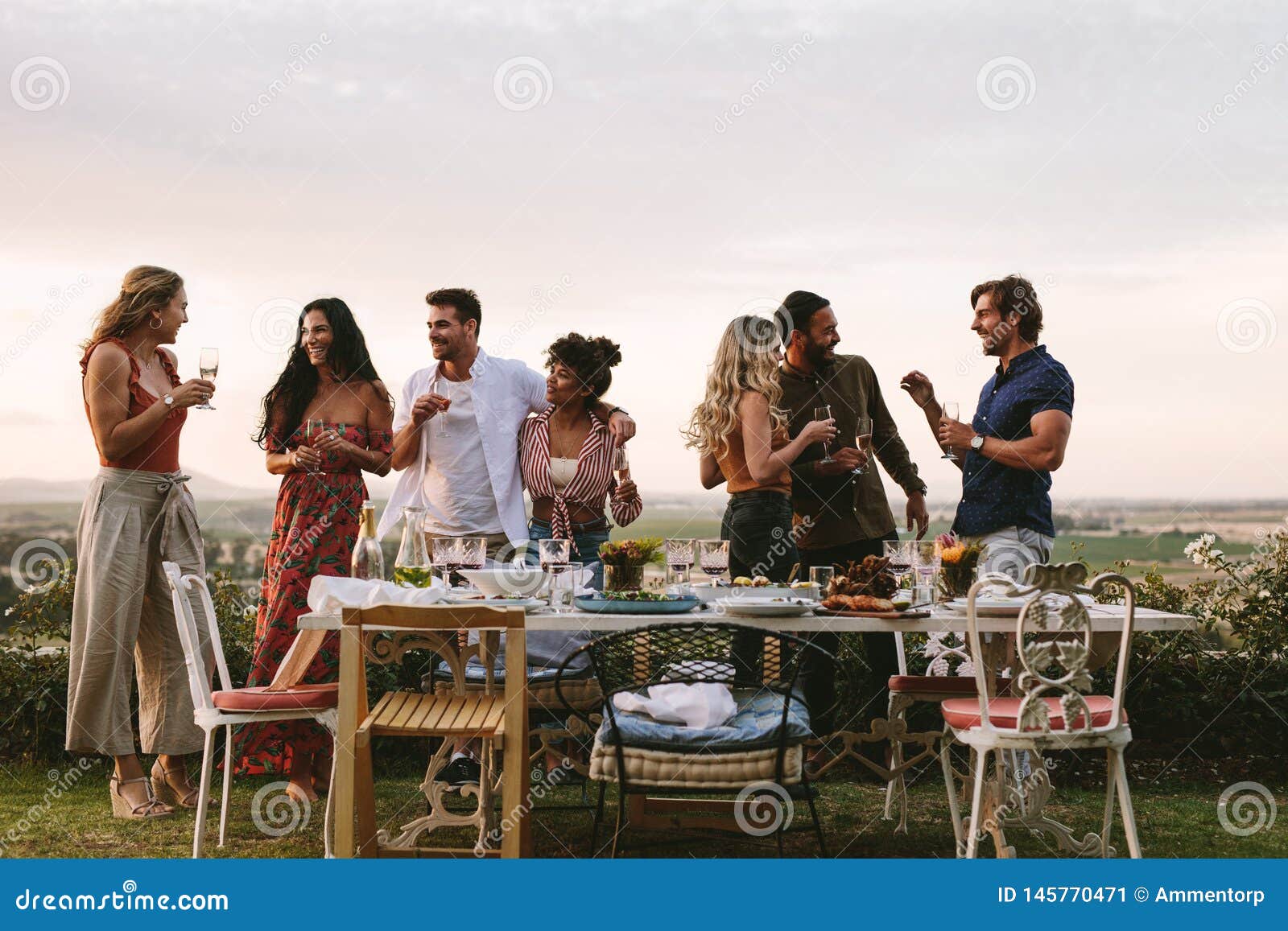 Millennials Enjoying Dinner Party Outdoors Stock Image - Image of ...