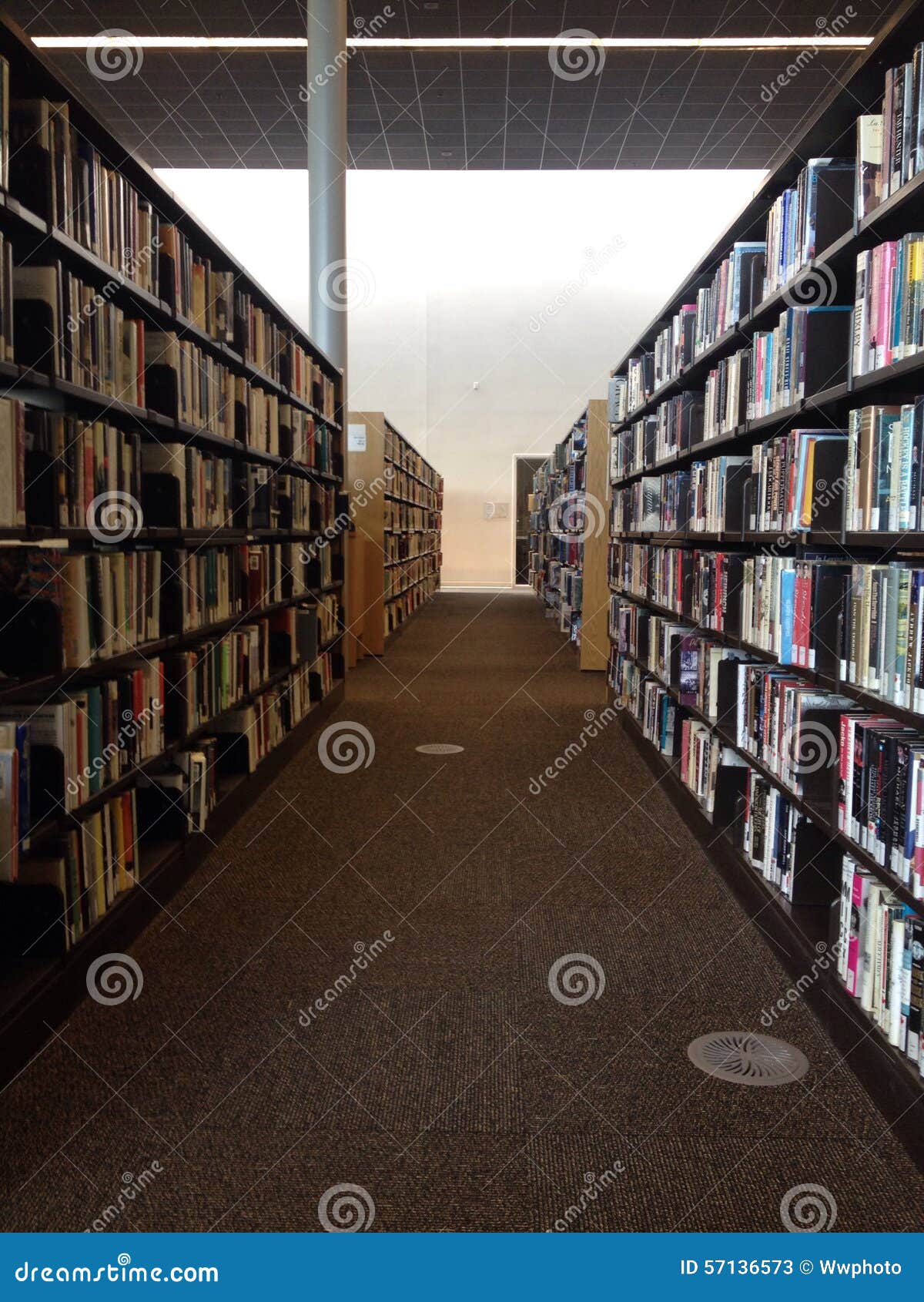 Millennium library editorial stock photo. Image of library - 57136573