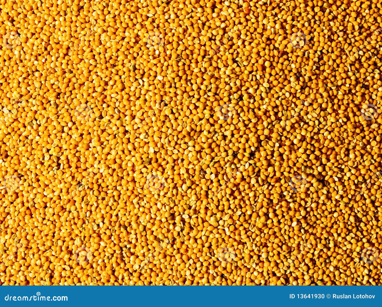 Millet Picture. Image: 13641930