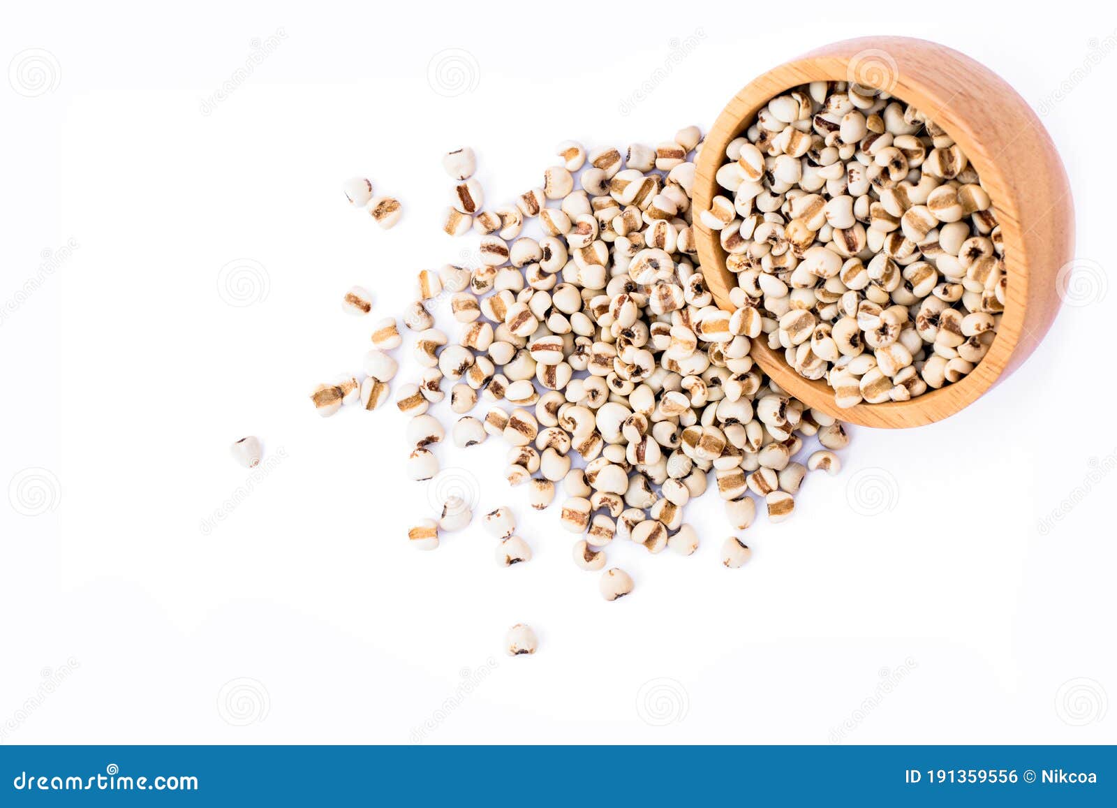 White Job`s Tears Adlay Millet or Pearl Millet Stock Photo - Image of ...