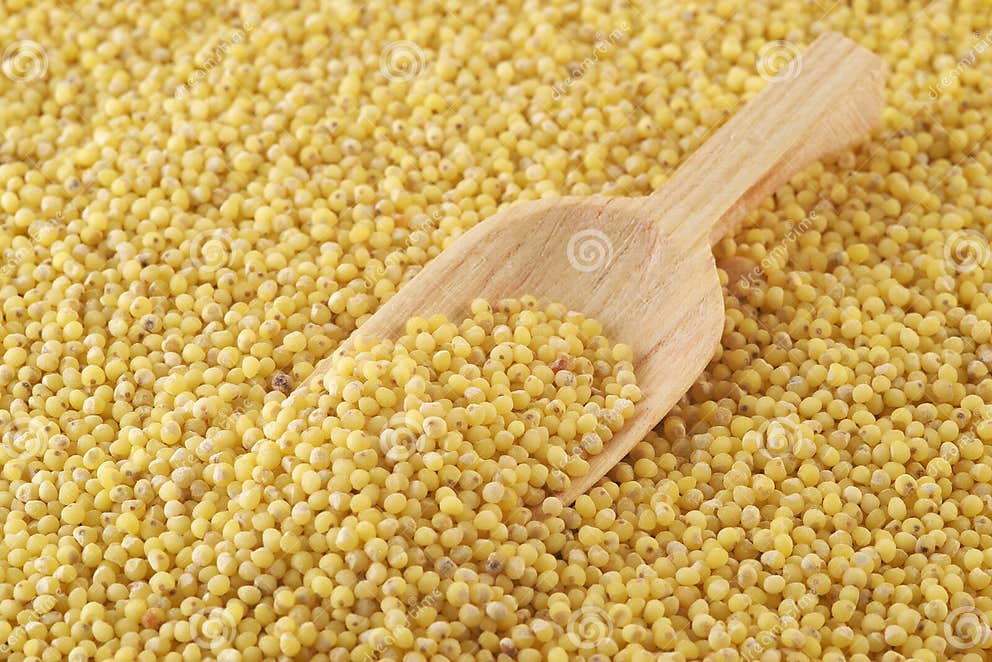 Millet stock image. Image of agriculture, harvest, grain - 3938243