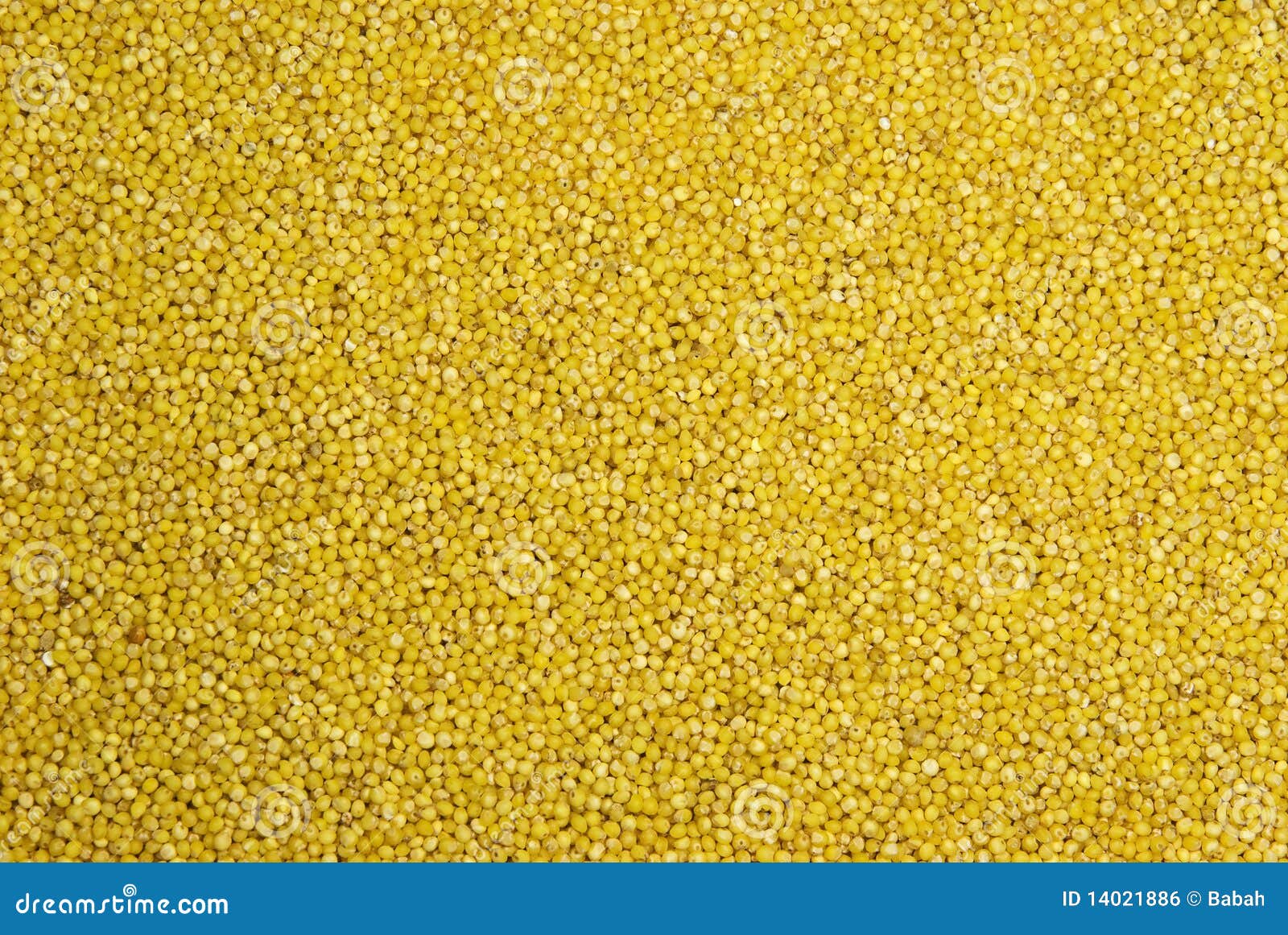 Millet background stock photo. Image of organic, fiber - 14021886