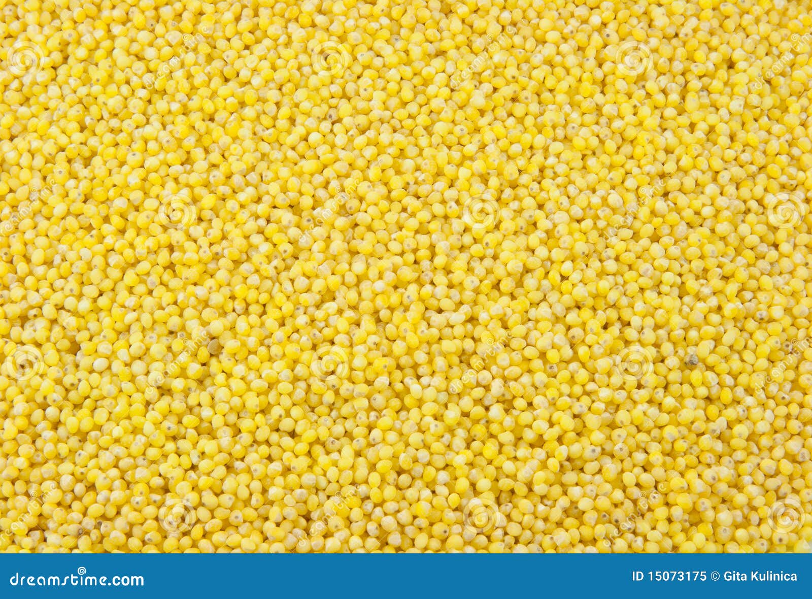 Millet background stock image. Image of healthy, eating - 15073175