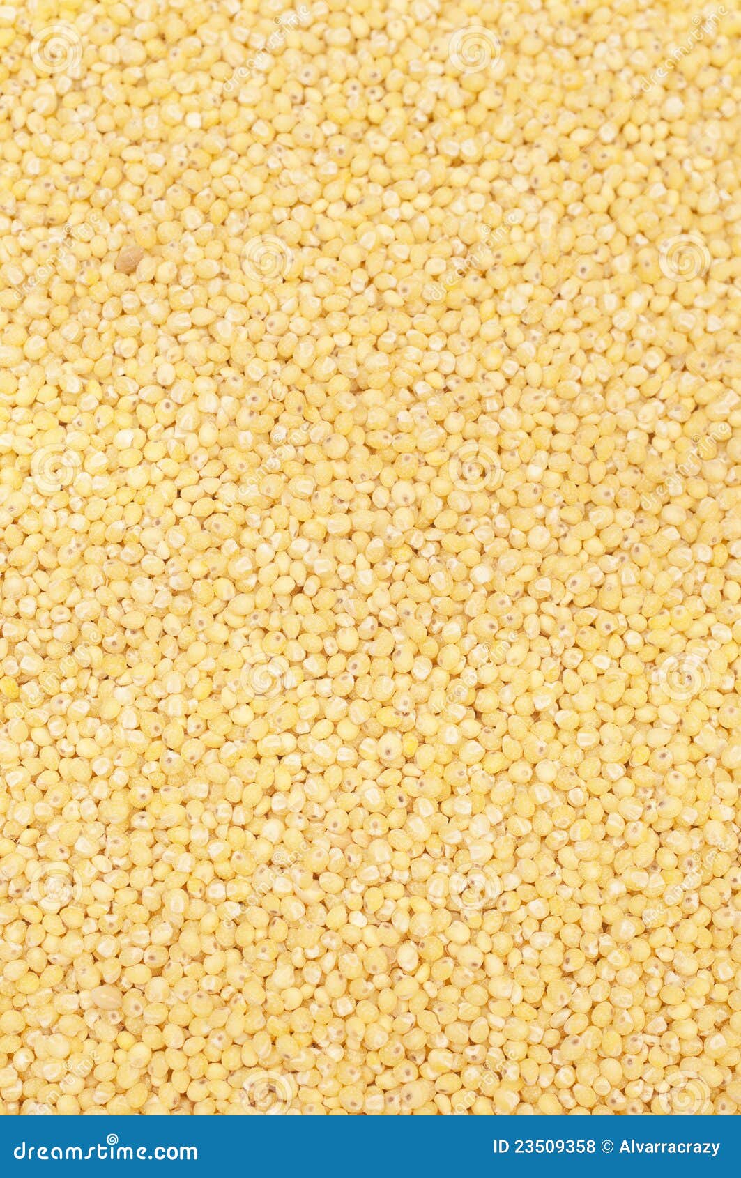Millet background stock photo. Image of color, healthy - 23509358