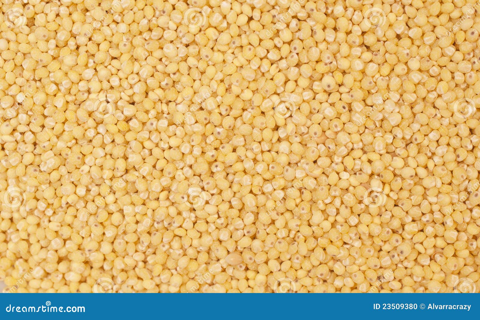 Millet background stock photo. Image of full, grain, corn - 23509380