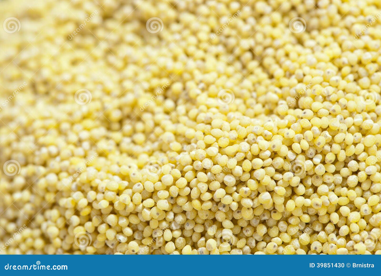 Millet stock photo. Image of millet, ingredient, diet - 39851430