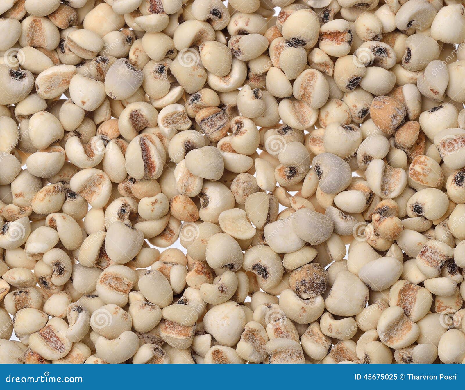 Millet stock image. Image of agriculture, grain, ingredient - 45675025