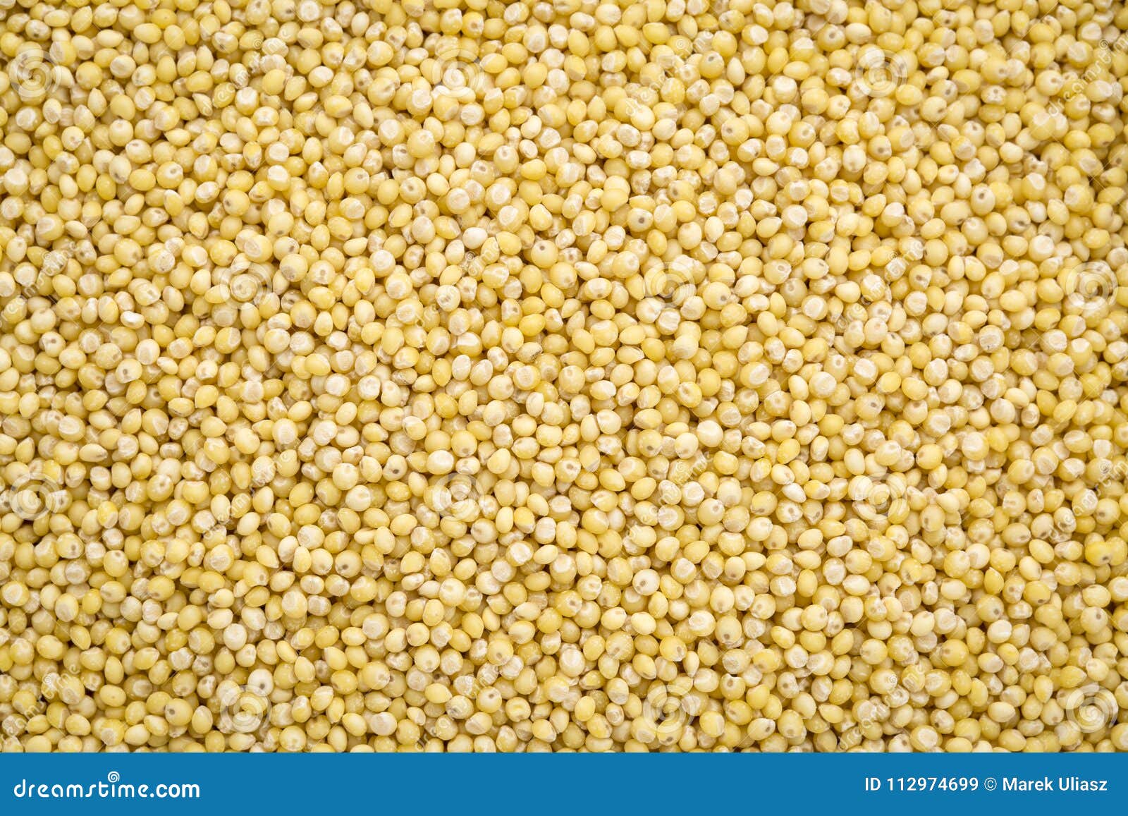 Millet grain background stock image. Image of cereal - 112974699