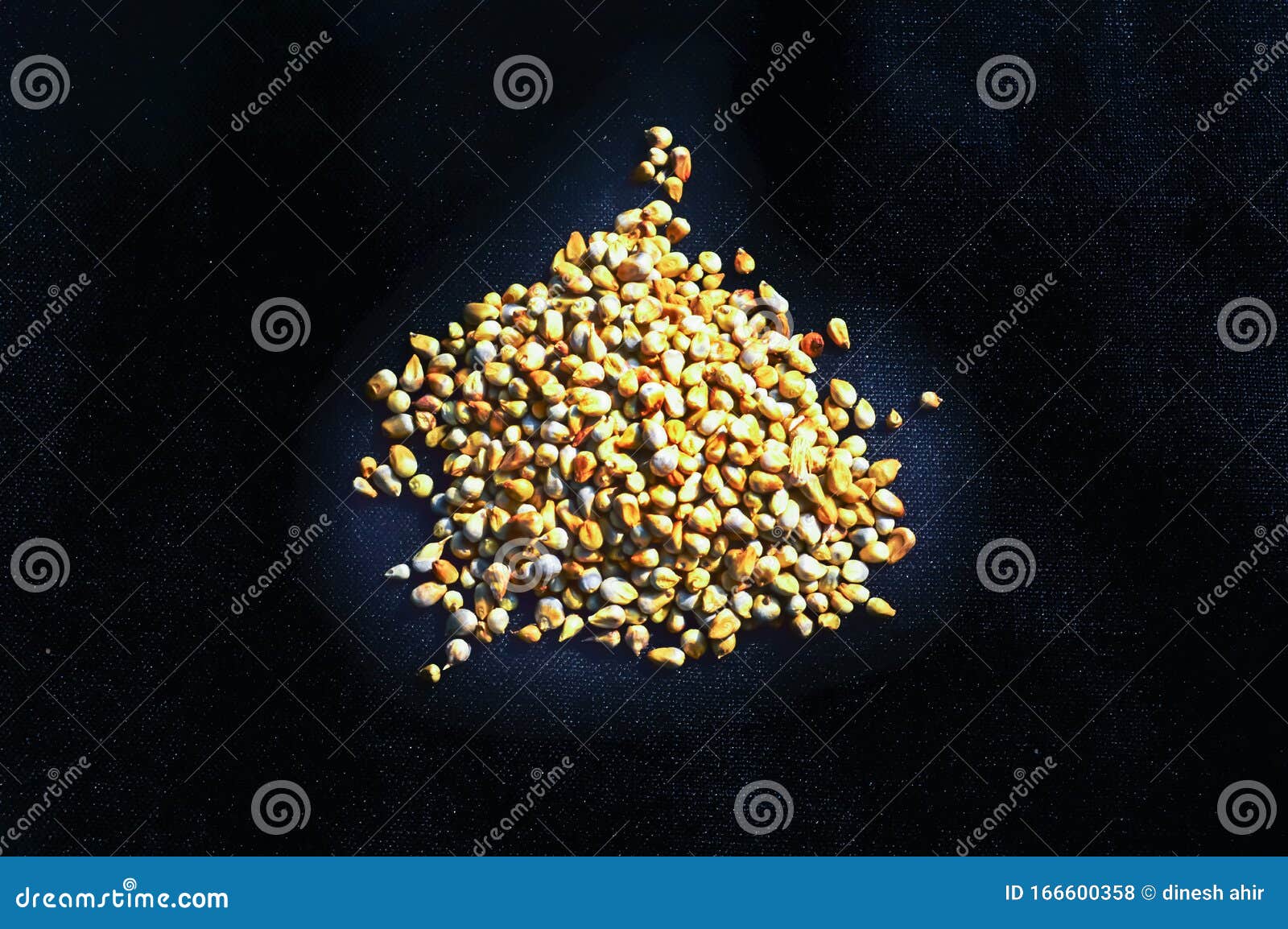 Millet Grain on Black Background,Pearl Grain Black Background,bajra ...