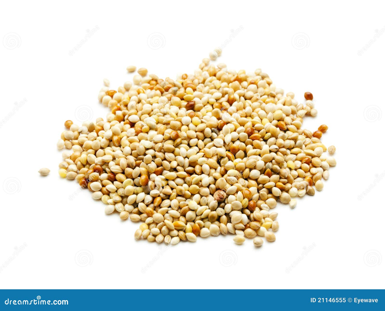 Millet grain isolated stock image. Image of grain, ingredient - 21146555