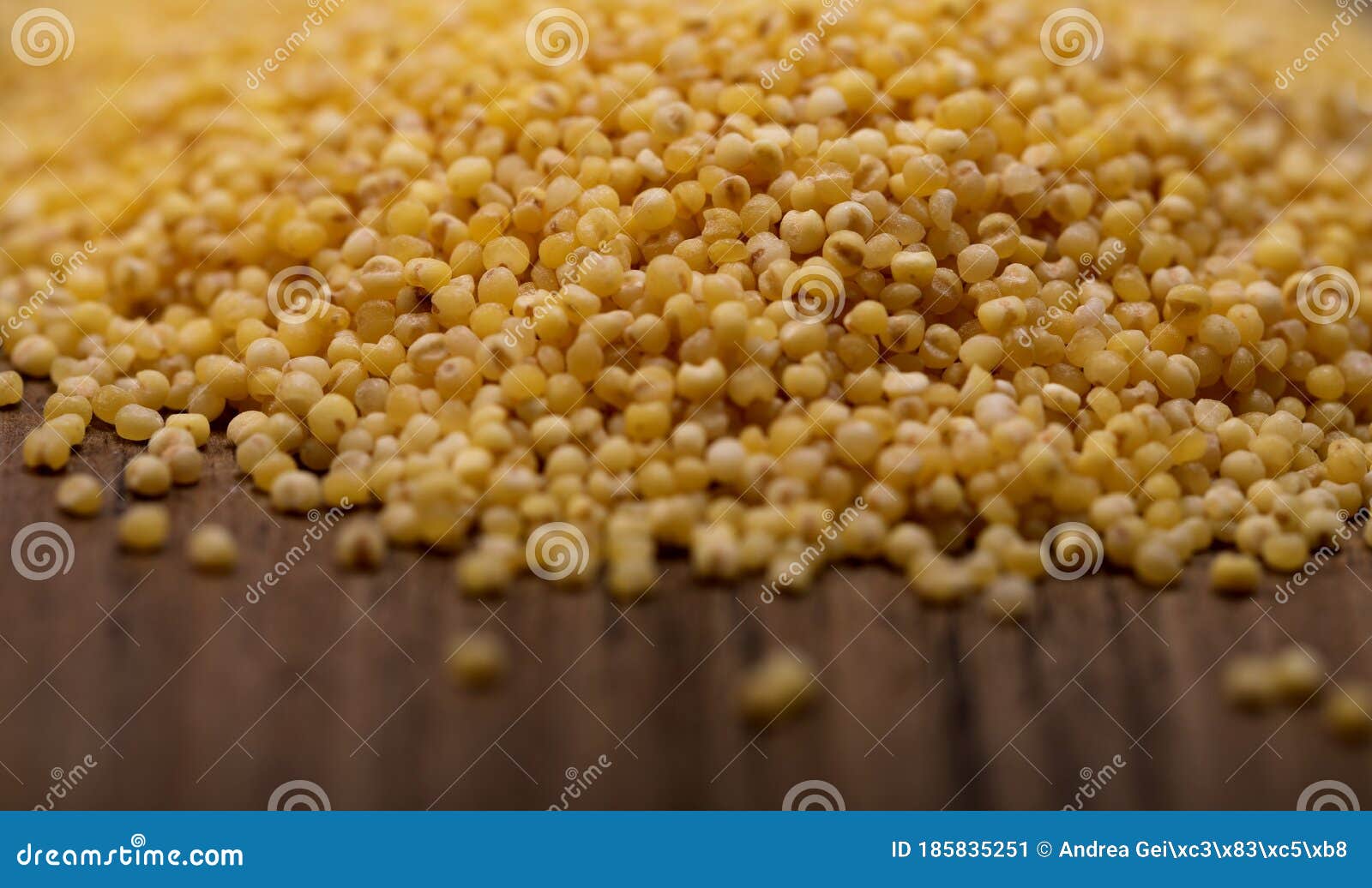 Millet Grain seeds grains stock image. Image of nature - 185835251