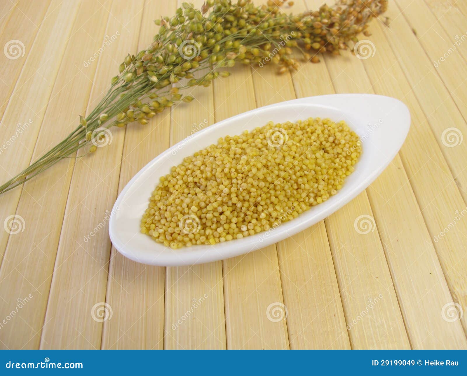 Millet Grains and Panicle Millet Stock Image - Image of health, common ...