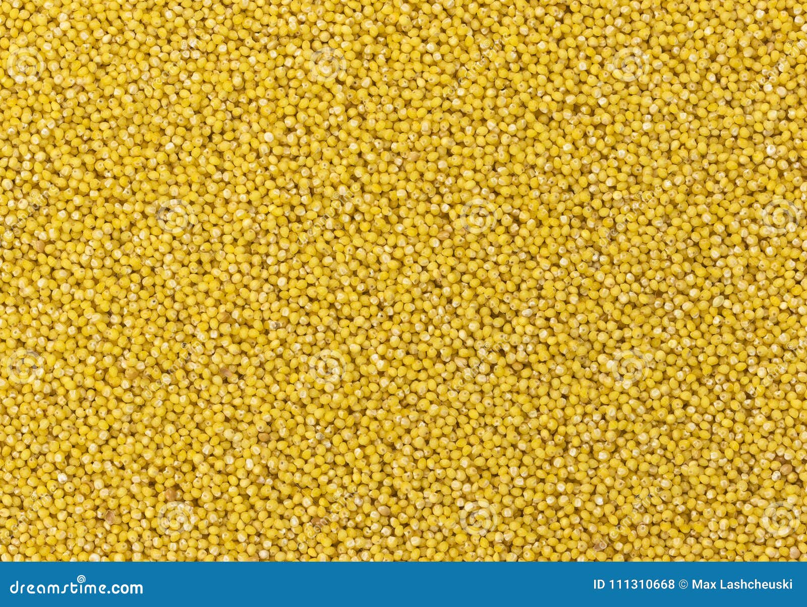 Millet Groats Grain Texture Stock Photo - Image of crop, healthy: 111310668
