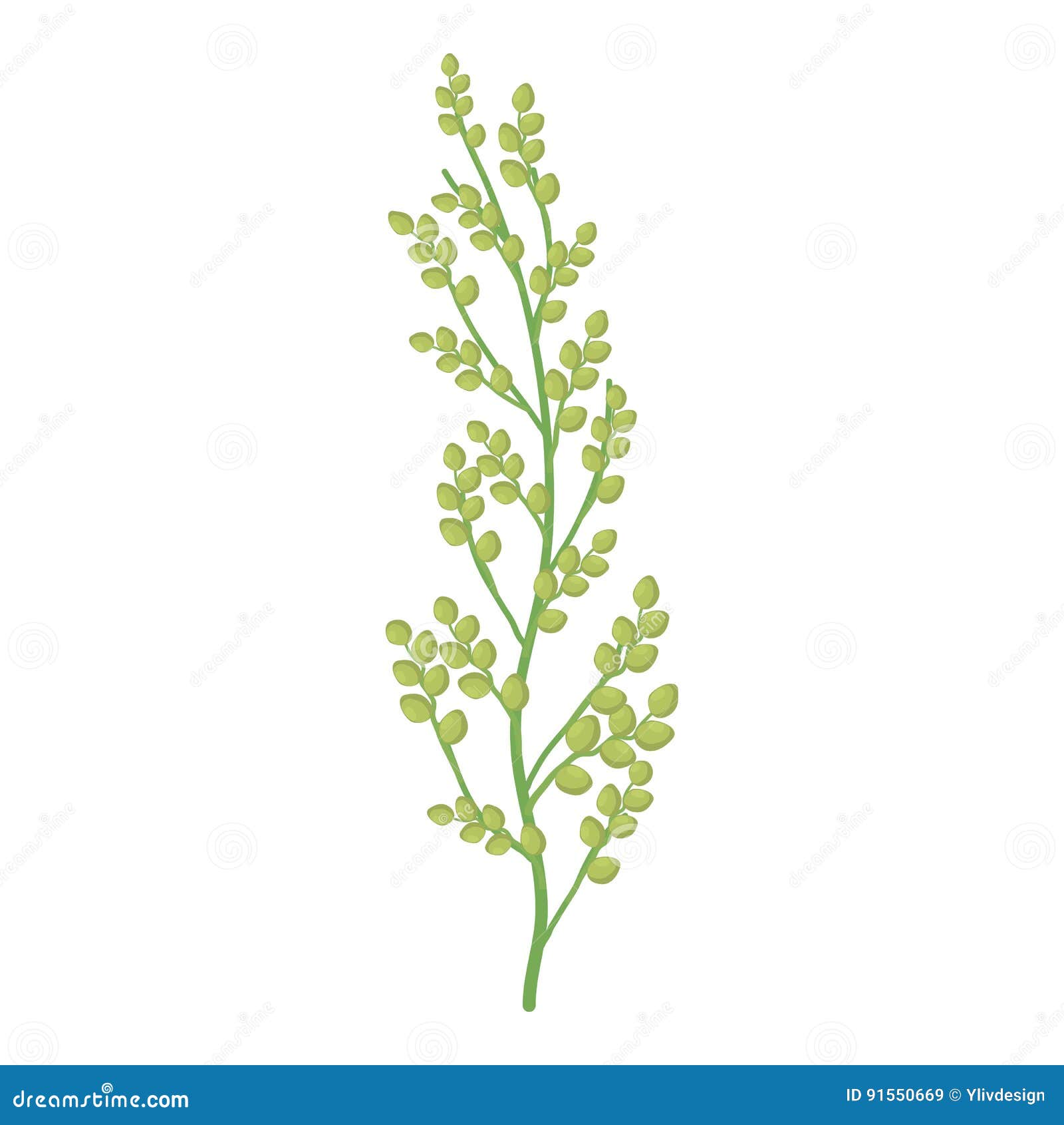 Millet icon, cartoon style stock vector. Illustration of plant - 91550669