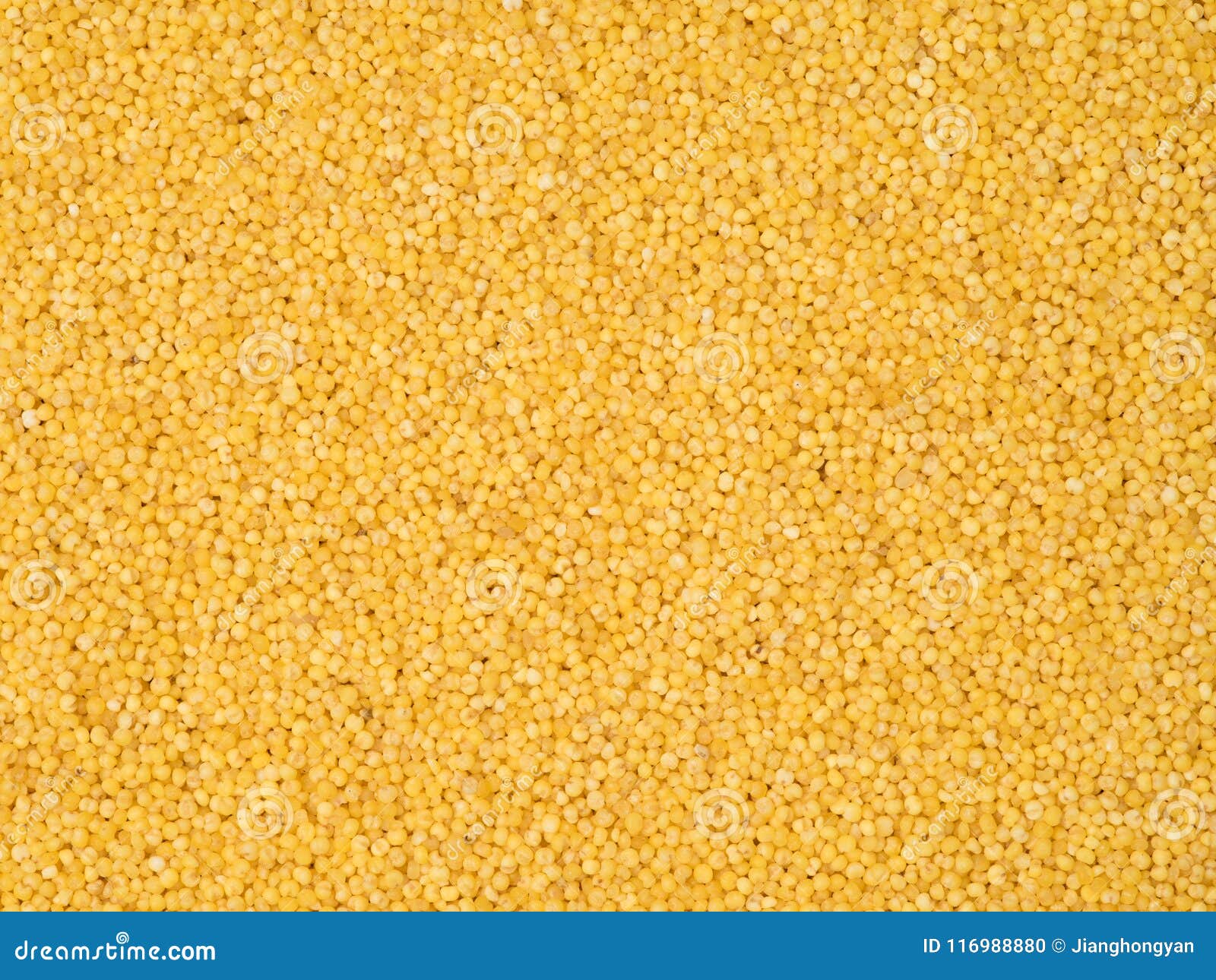 Millet - image of textured stock photo. Image of abstract - 116988880