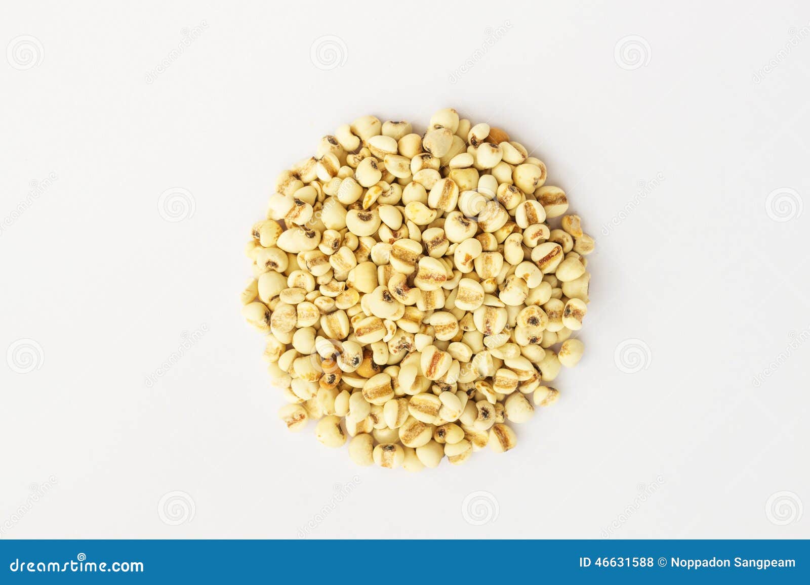 Millet in Isolate on White. Stock Photo - Image of grain, crop: 46631588