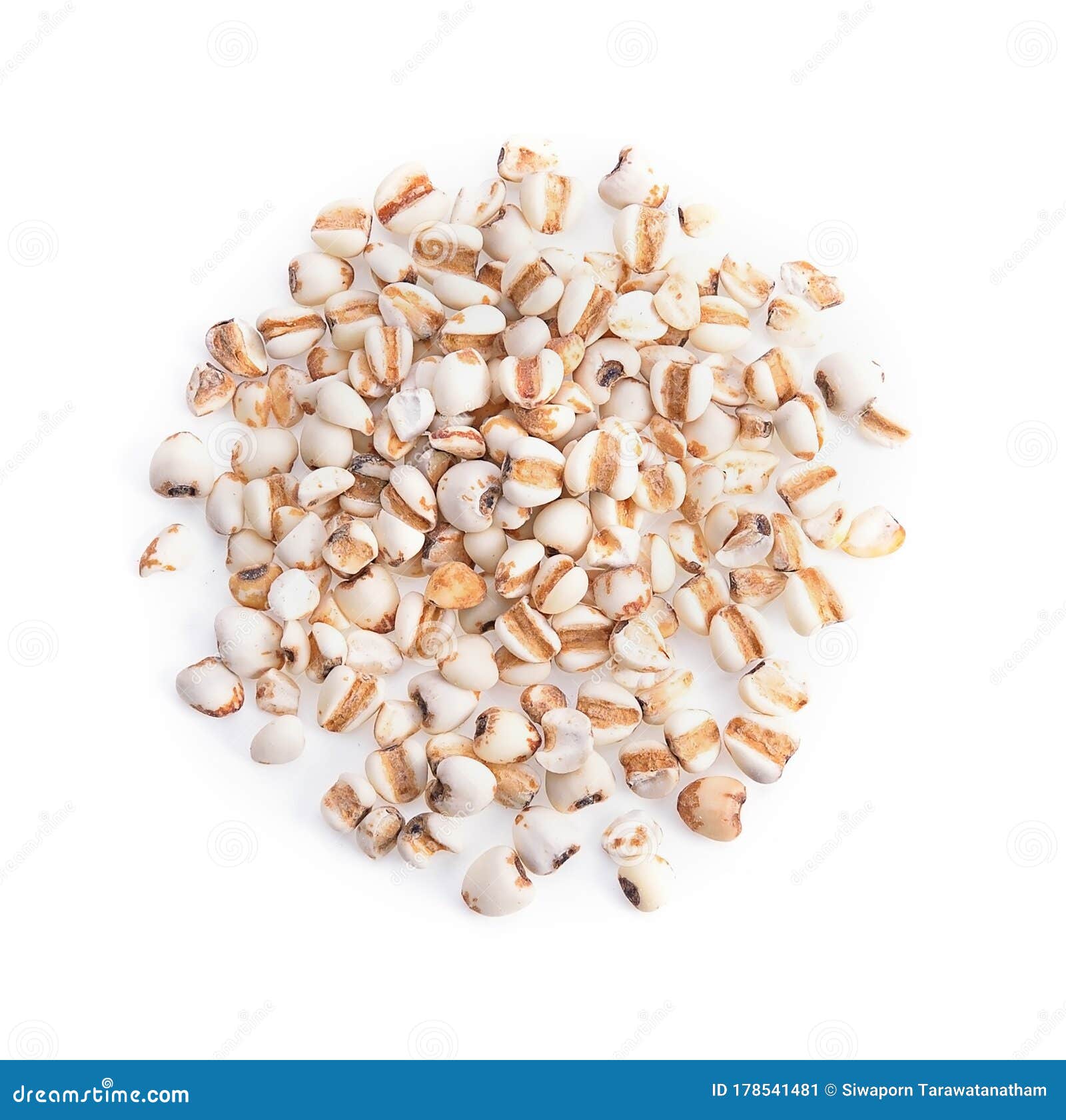 Millet Isolated on White Background Stock Image - Image of ingredient ...