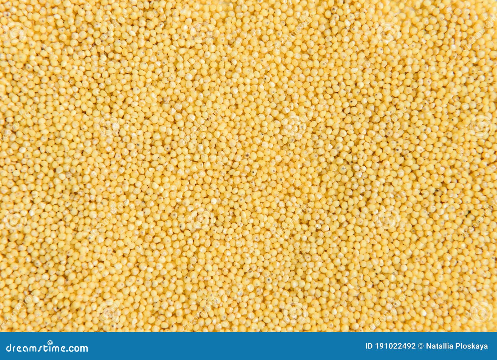 Millet Isolated on White Background Stock Photo - Image of healthy ...