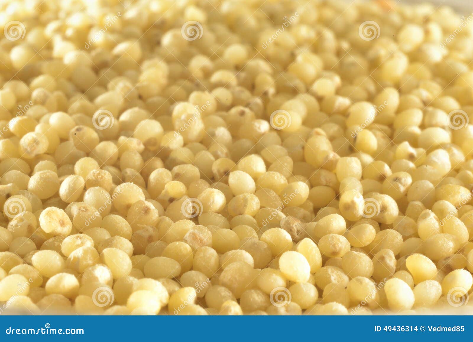 Millet stock photo. Image of millet, preparation, cooking - 49436314