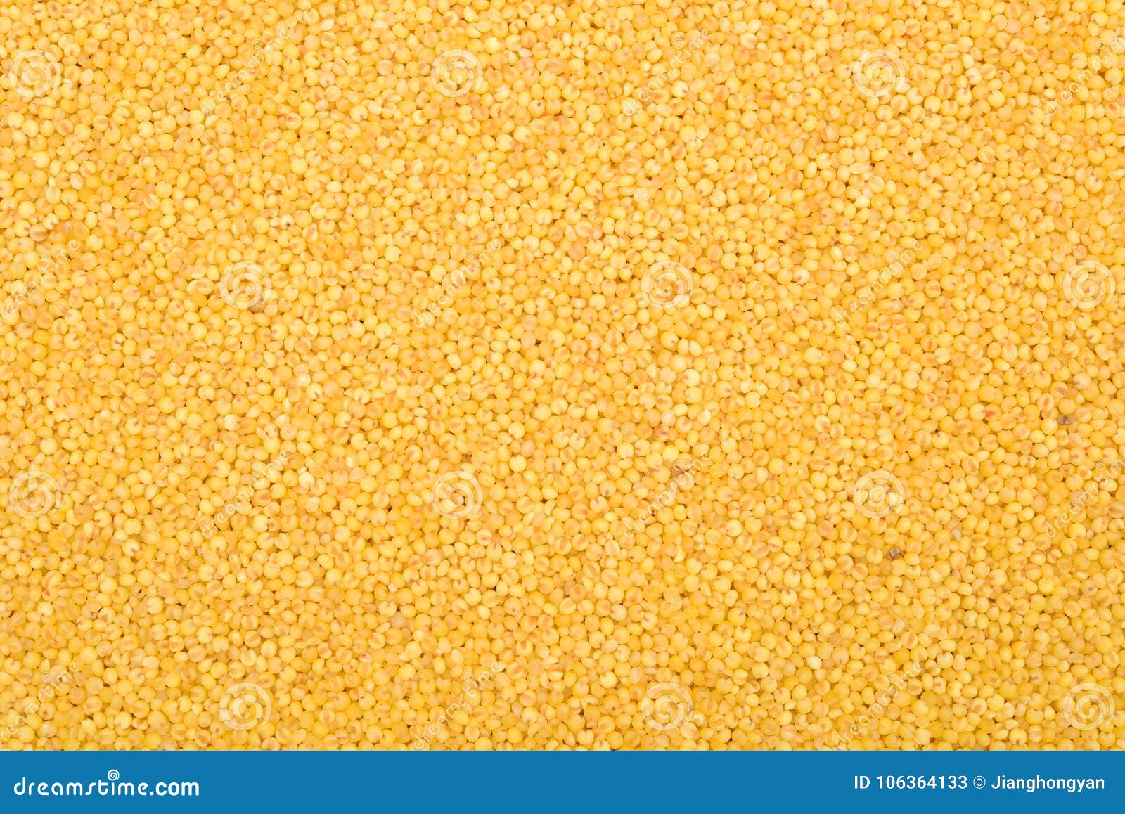 Millet stock image. Image of vegetarian, healthy, kernel - 106364133