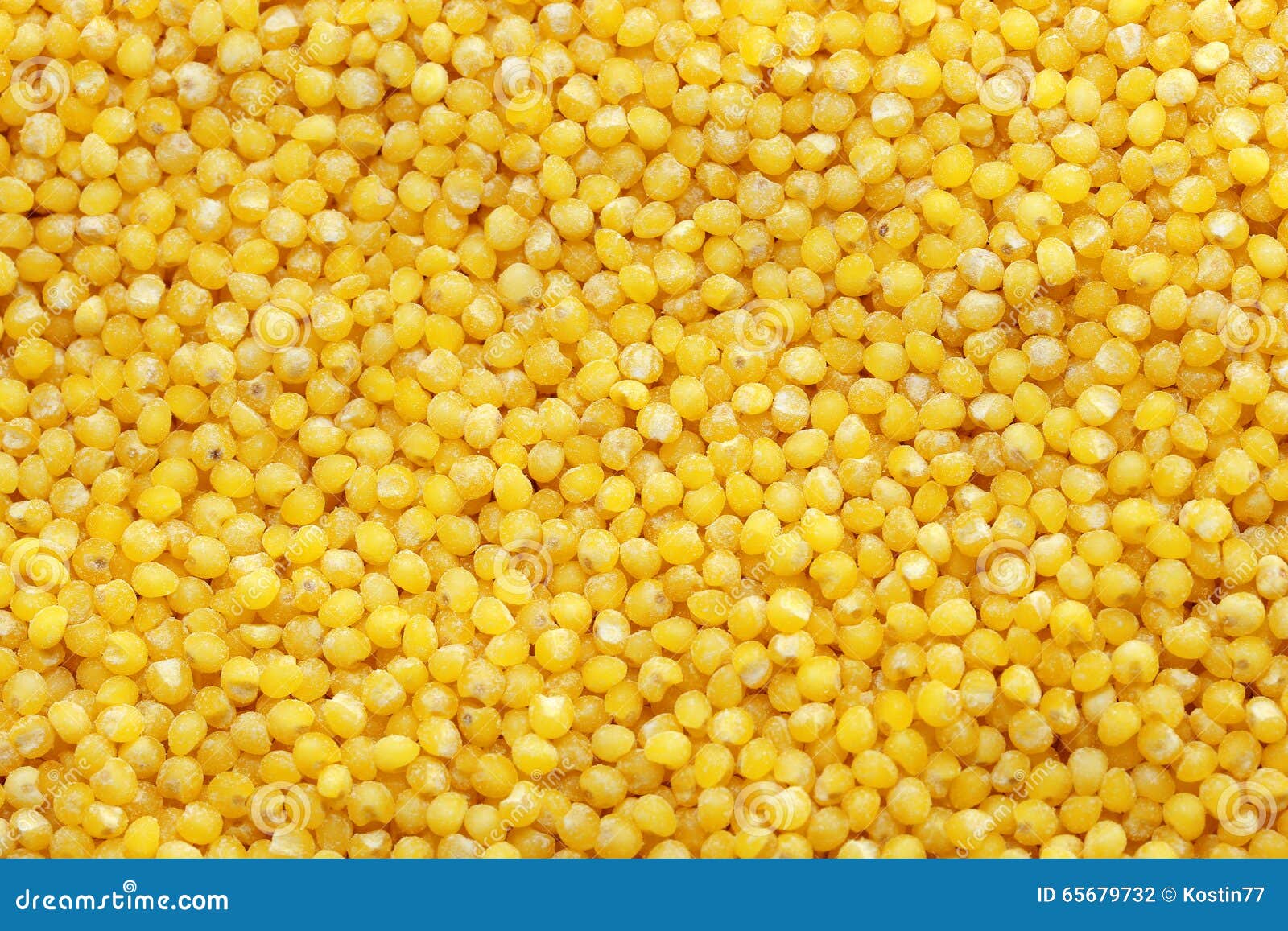 Millet millet photographed stock photo. Image of nature - 65679732