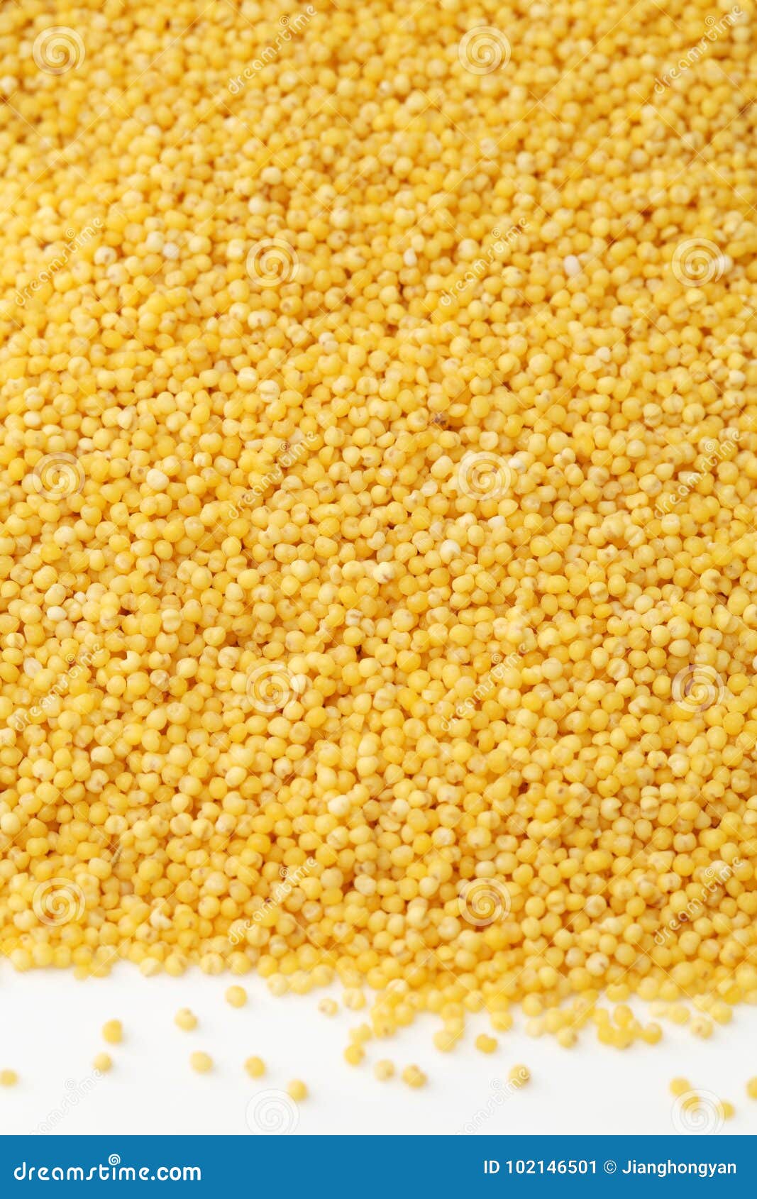 Millet stock image. Image of plant, sack, hulled, grain - 102146501