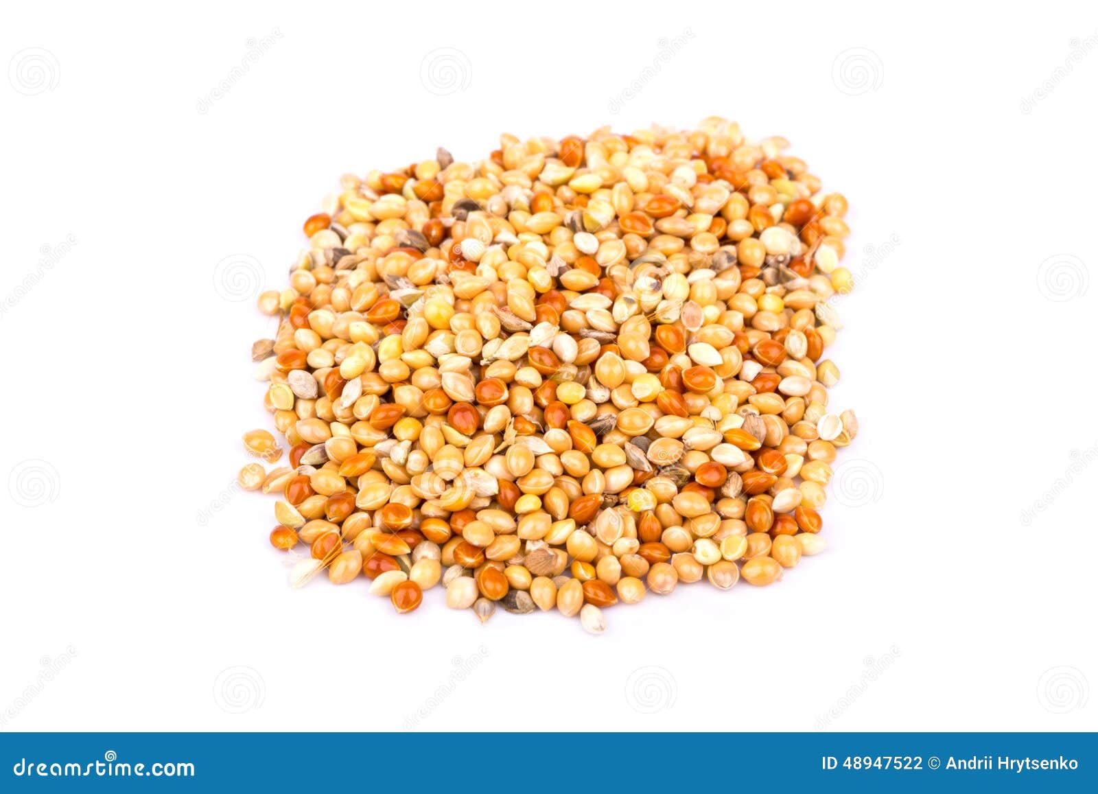Millet stock photo. Image of millet, eating, agriculture - 48947522