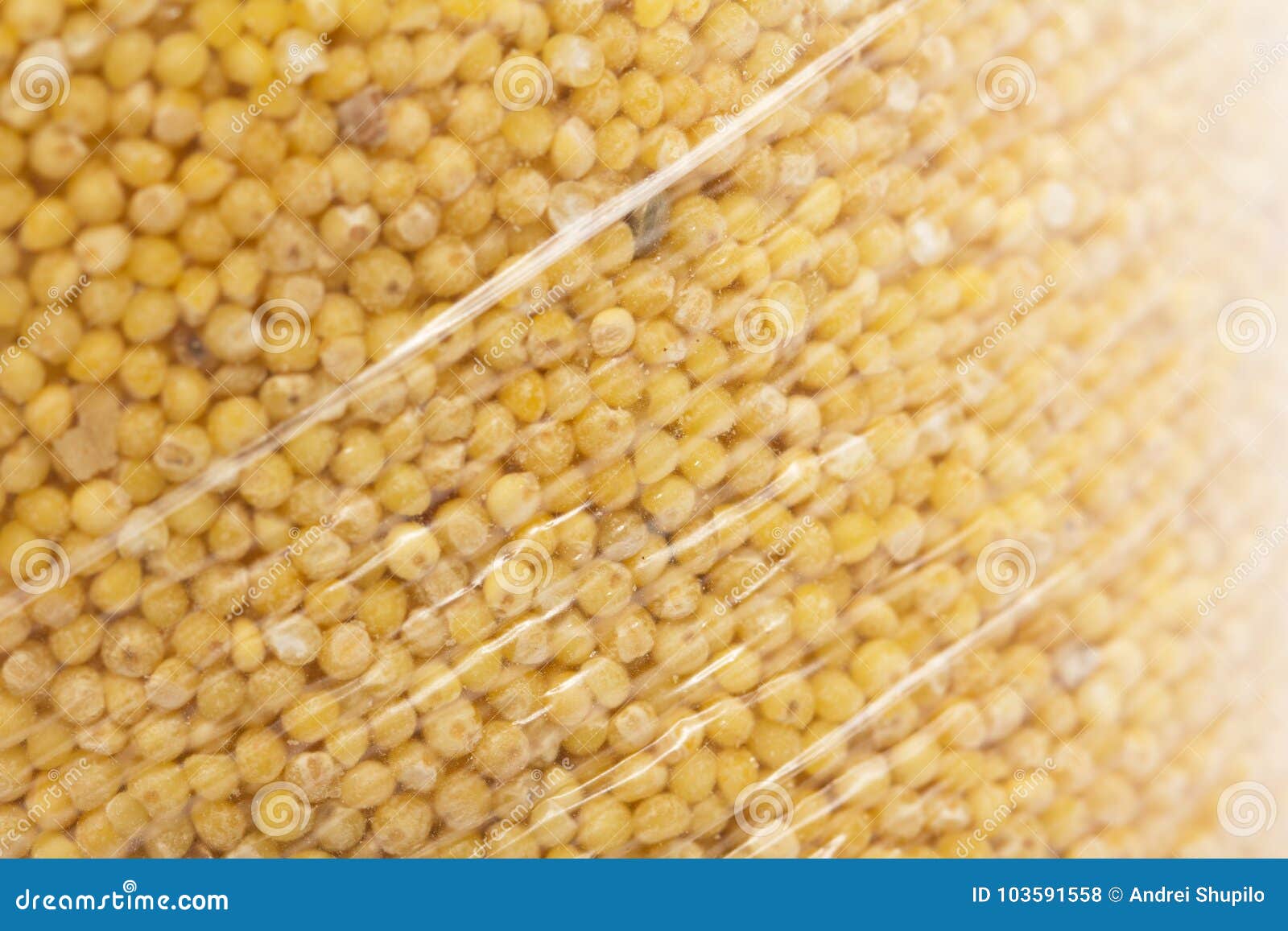 Millet in a plastic bag stock photo. Image of seed, macro - 103591558