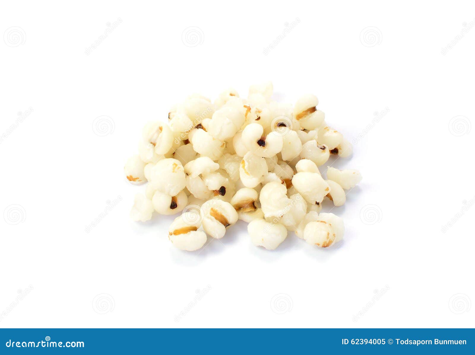 Millet Rice Millet Grains on White Background Stock Image - Image of ...
