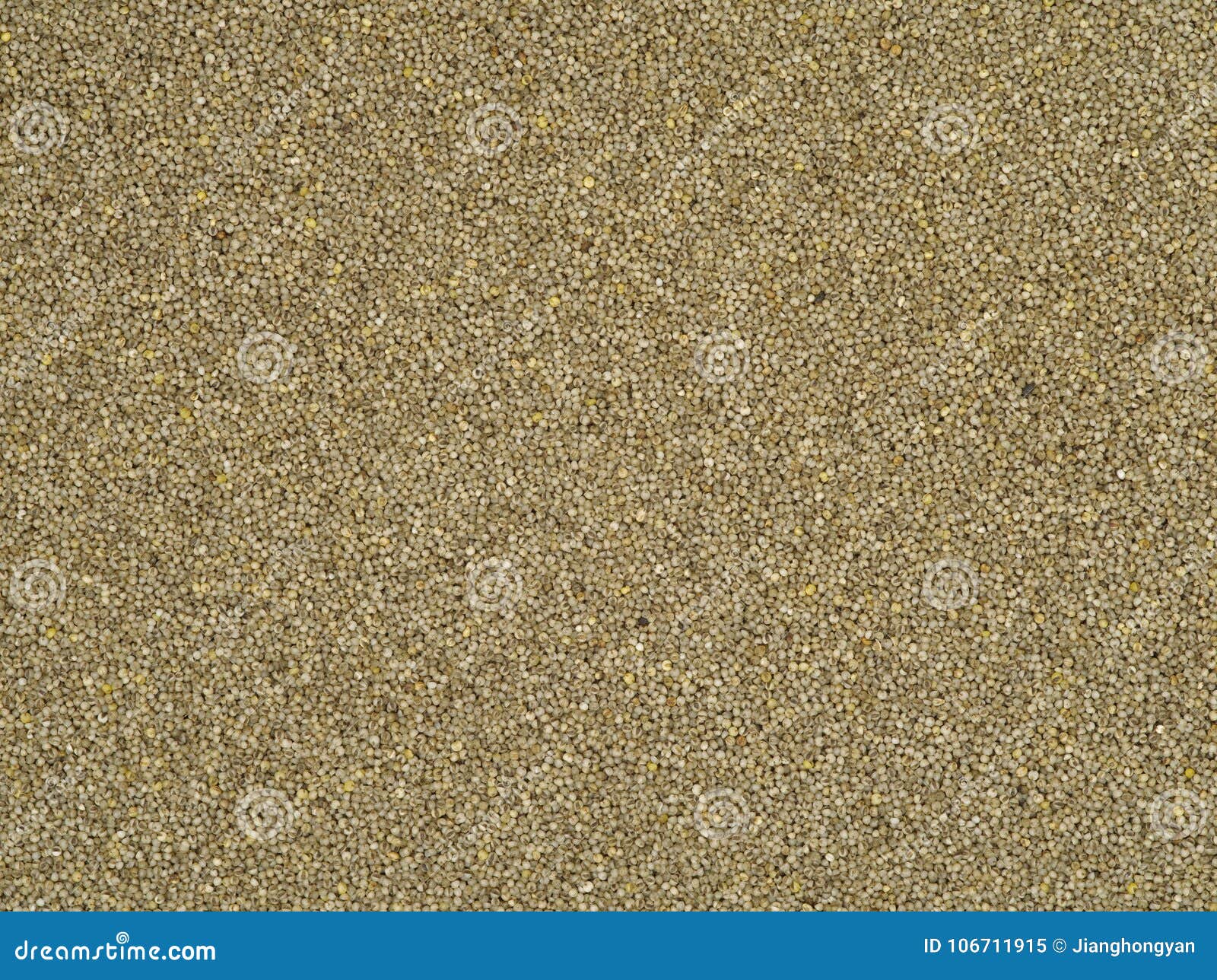 Millet Seed Isolated Texture Stock Image | CartoonDealer.com #106711915