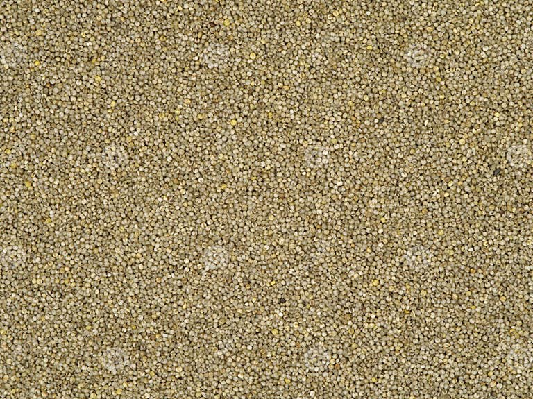 Millet seed Texture stock image. Image of millet, endosperm - 104672153