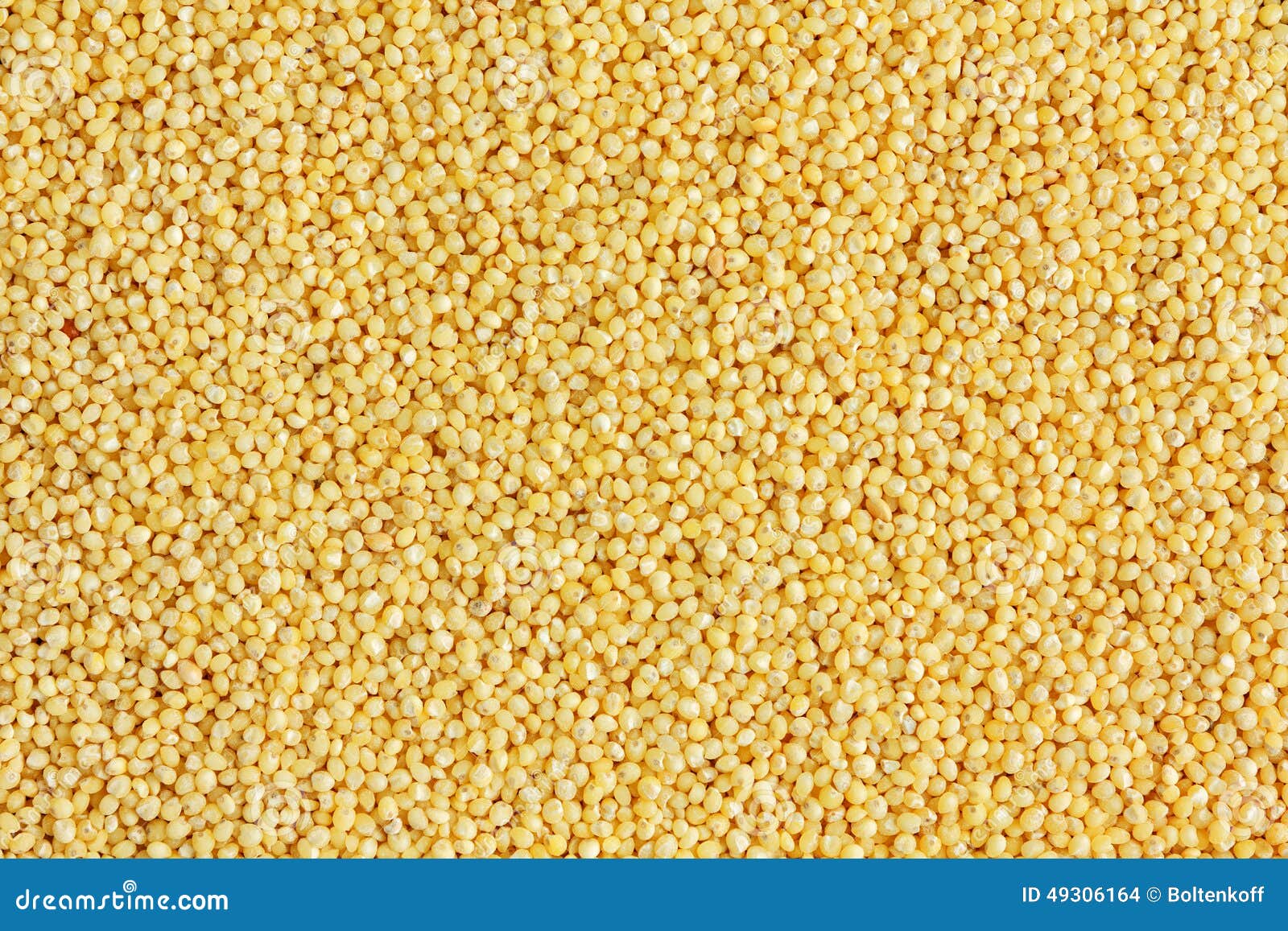 Millet seeds background stock photo. Image of food, backdrop - 49306164