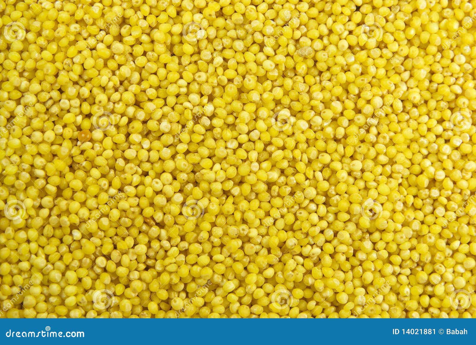 Millet texture stock image. Image of dietary, ingredient - 14021881