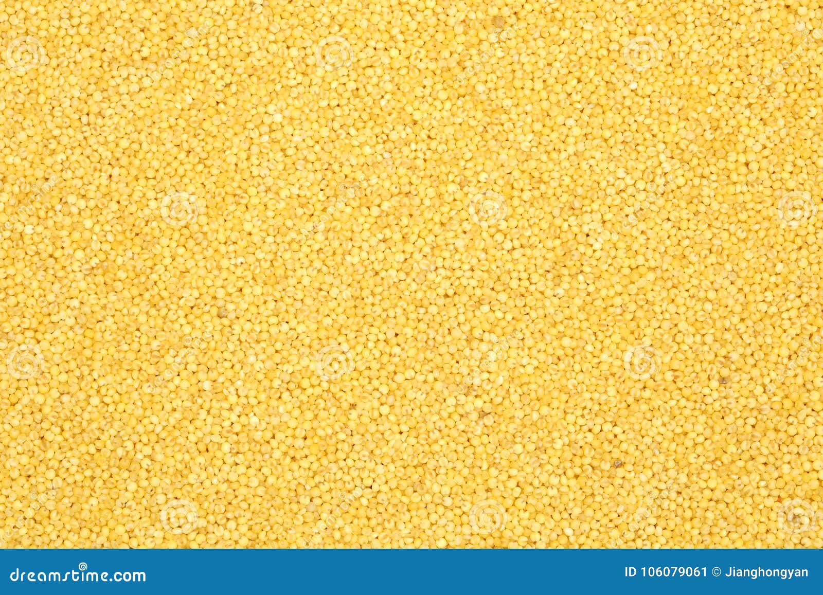 Millet Texture, Background Stock Image | CartoonDealer.com #31015981