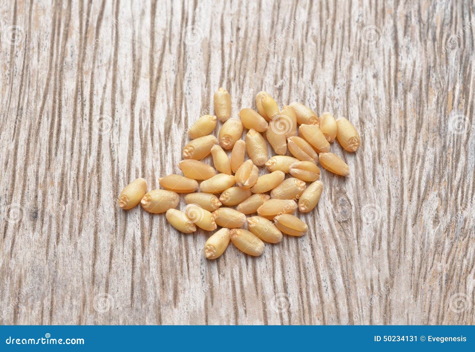 Millet wheat stock image. Image of macro, agriculture - 50234131