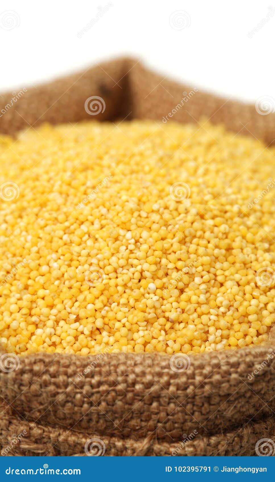 Millet stock image. Image of healthy, dried, seed, food - 102395791