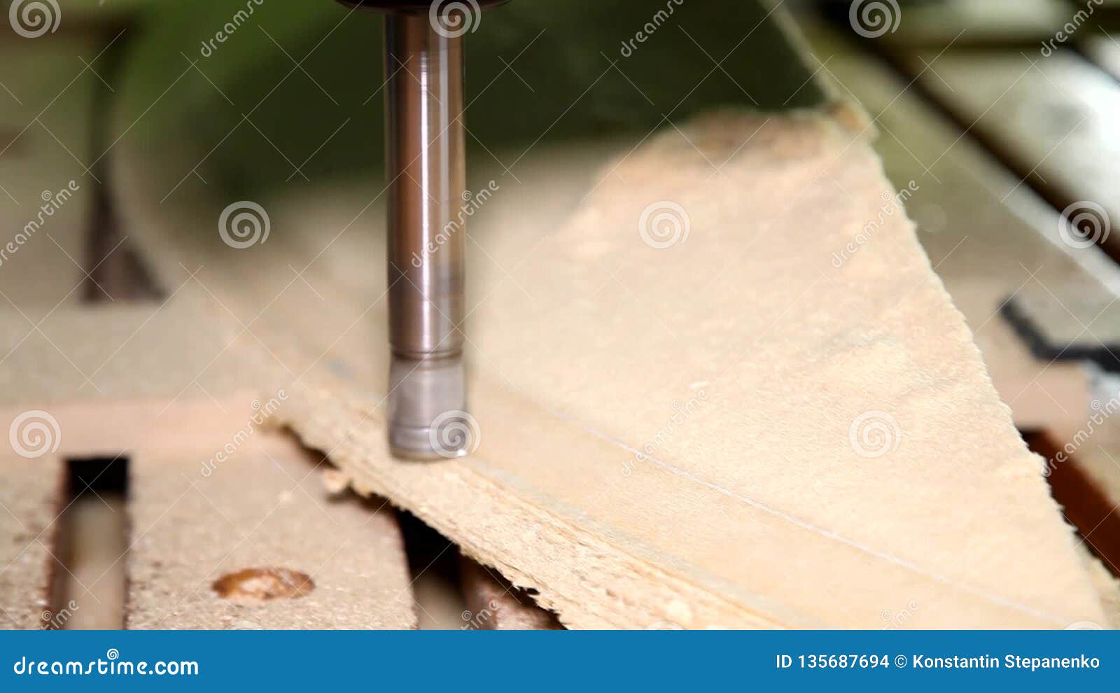 Milling Machine on a Tree, Work of a Cutter on a Tree Stock Footage ...