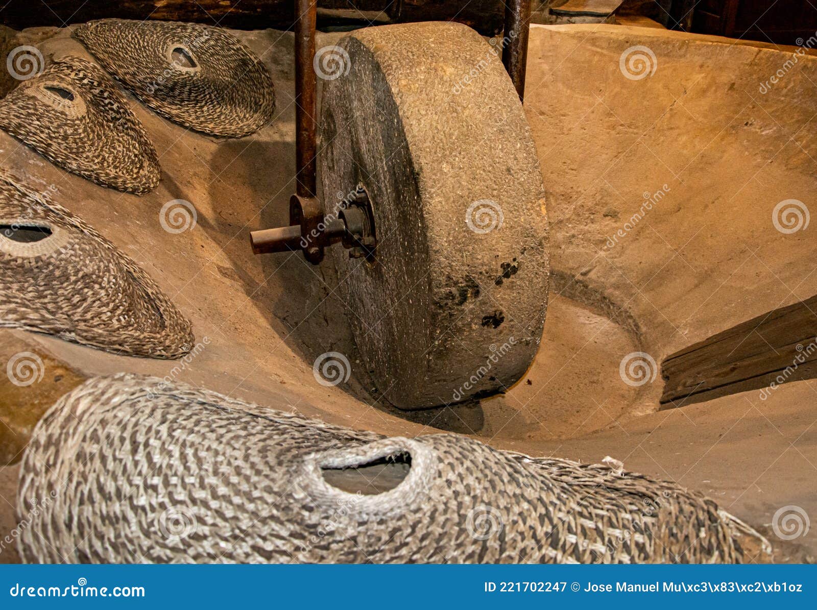 Olive Harvesting Tools. Olive Tree Full With Olives. Olive Branches ...